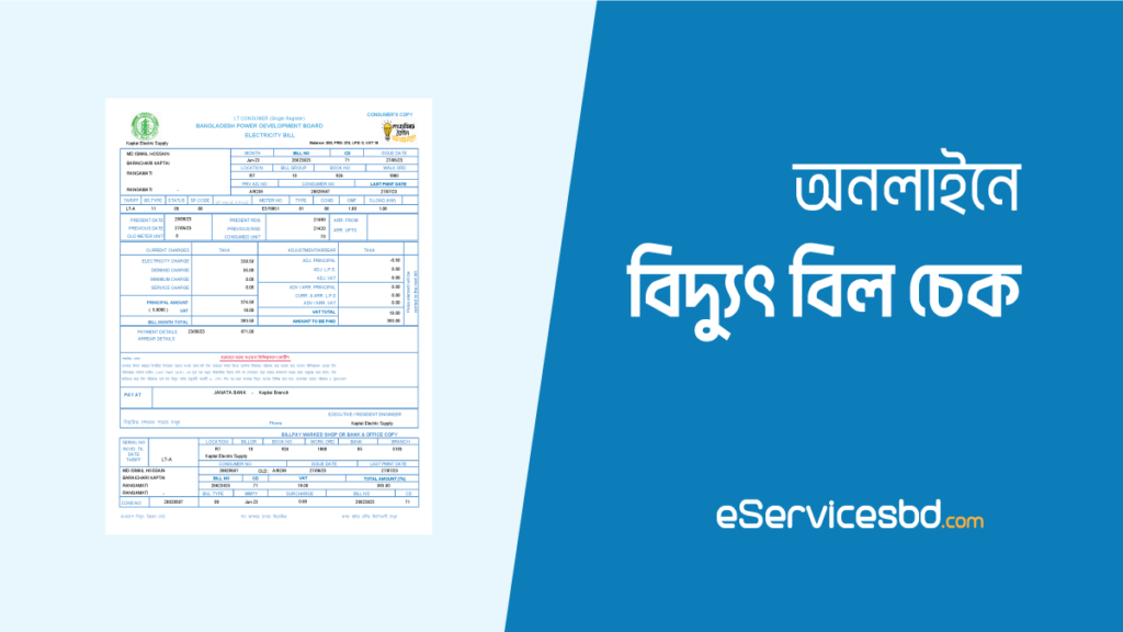 বাংলাদেশে ইন্টারন্যাশনাল ড্রাইভিং লাইসেন্স করার নিয়ম ২০২৫ | eServicesbd